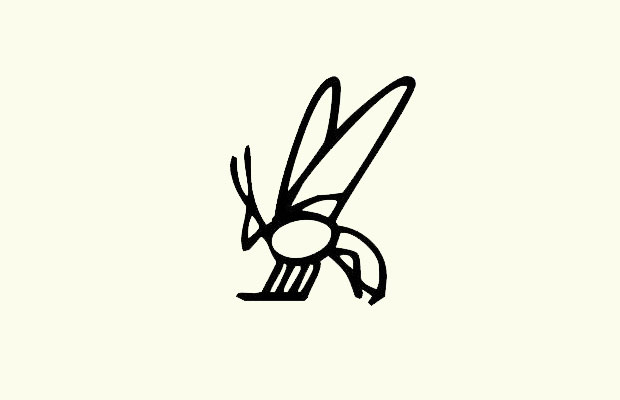 10 Bumblebee Symbolism Facts & Meaning: A Totem, Spirit & Power Animal ...