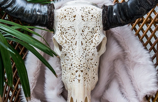 10 Buffalo Bison Symbolism Facts & Meaning: A Totem, Spirit & Power ...