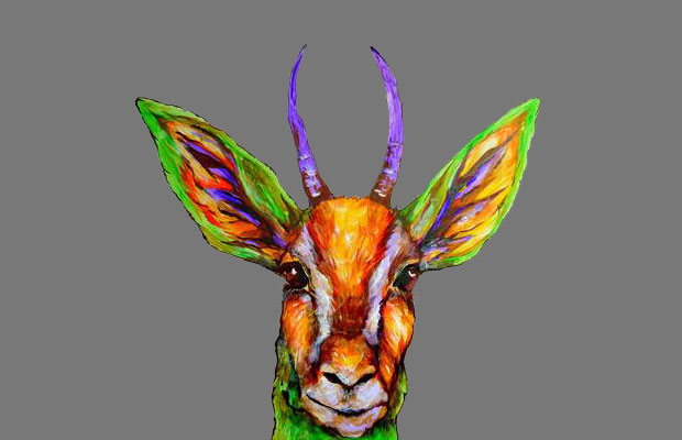 10 Gazelle Symbolism Facts & Meaning: A Totem, Spirit & Power Animal | HEP6