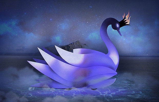 10 Swan Symbolism Facts & Meaning: A Totem, Spirit & Power Animal | HEP6