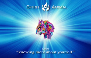 10 Bobcat Symbolism Facts & Meaning: A Totem, Spirit & Power Animal – HEP6