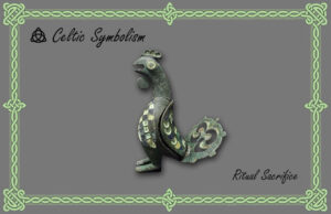 10 Chicken Symbolism Facts & Meaning: A Totem, Spirit & Power Animal – HEP6