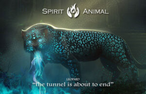 10 Leopard Symbolism, Myths & Meaning: A Totem, Spirit & Power Animal ...