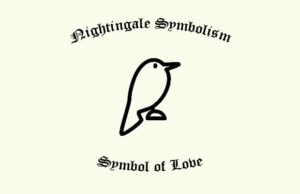 10 Nightingale Symbolism Facts & Meaning: A Totem, Spirit & Power ...