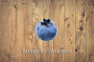 10 Blueberry Fruit Symbolism & Meaning: Zodiac, Superstitions, Dreams ...